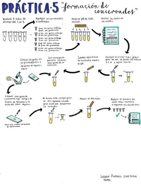 Diagrama De Flujo Practica De Laboratorio Mxedusa