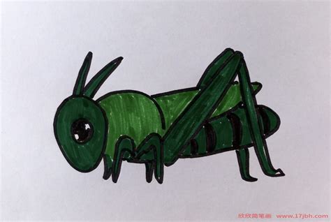冬蝈蝈简笔画 冬蝈蝈怎么画 大山谷图库
