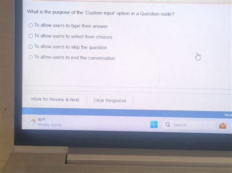what is the purpose of the custom input option in a question node to