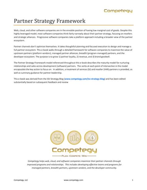 Partner Strategy Framework E Book Pdf