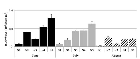 Mean Abundance Of Ruppia Cirrhosa Shoot M 2 At The Five Stations And Download Scientific