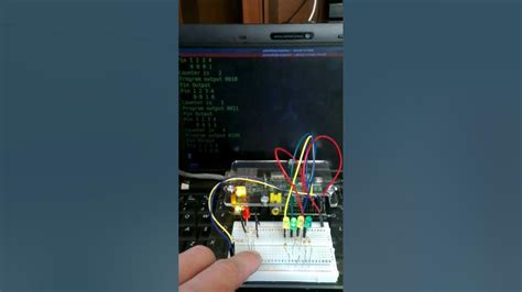 Raspbery Pi Led Binary Counter Youtube