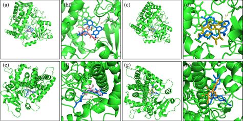 Molecular Docking Analysis Of The Interactions Between The Small