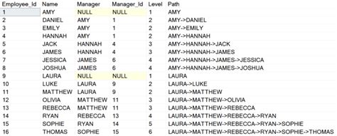 Storing Hierarchical Data In Sql Server Available Options