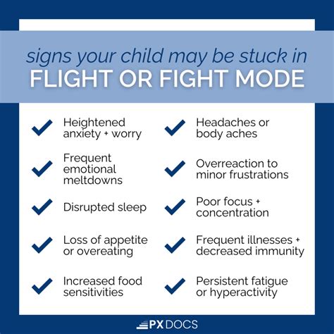 Symptoms Of Fight Or Flight Mode 60 Photos