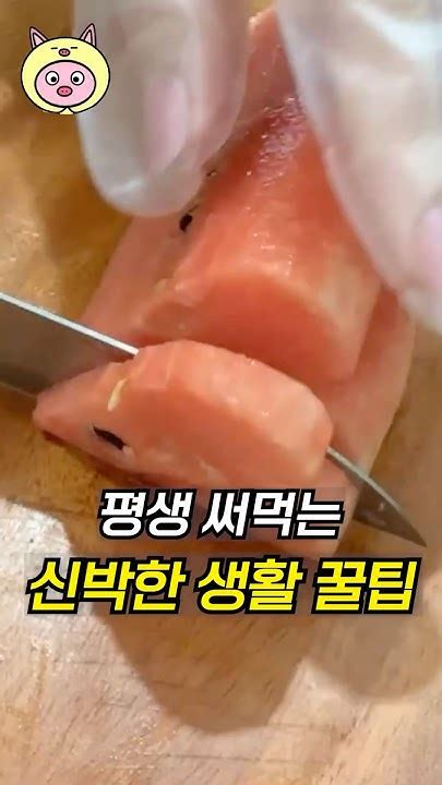 평생 써먹는 신박한 생활 꿀팁 Youtube