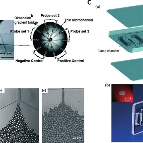 a microfluidic device for the parallel amplification of several