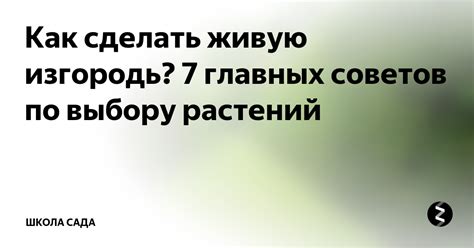 Как сделать живую изгородь 7 главных советов по выбору растений Школа сада Дзен