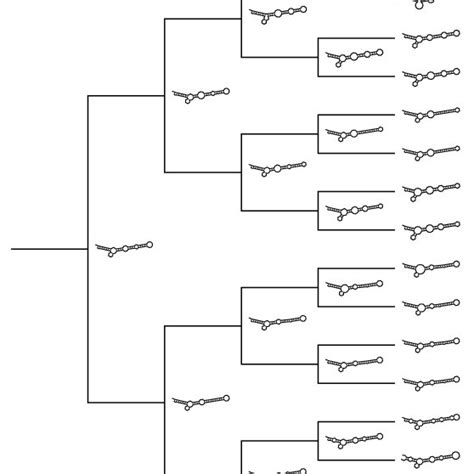 An Example Of Sequence Structure Evolution Without Structural