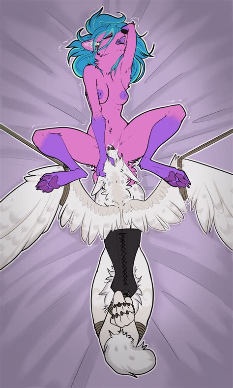 Rule 34 2023 Anthro Anthro On Anthro Biped Blue Hair Bodily Fluids Bondage Bondage Bound