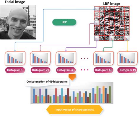 the coding face using a set of lbp histogram download scientific diagram