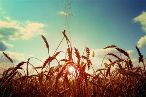 浅谈java三大框架ssh是否已经过时