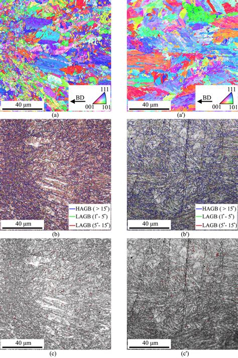 Results Of The EBSD Analysis For The Vertical Specimens From Their Download Scientific Diagram