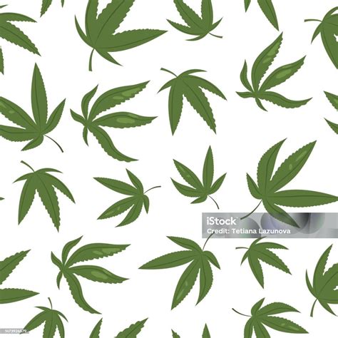 잡초 패턴 대마초 녹색 잎 종이 벽지 직물을 포장하기 위한 의료 합법화된 마리화나 기호로 원활한 인쇄 벡터 만화 질감 패턴