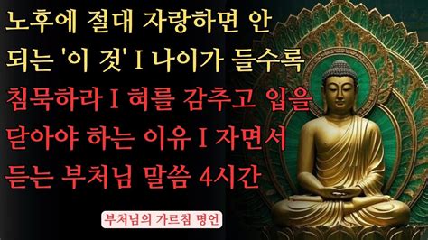 노후에 절대 자랑하면 안 되는 이 것 I 나이가 들수록 침묵하라 I 혀를 감추고 입을 닫아야 하는 이유 I 자면서 듣는 부처님 말씀 4시간 L 지혜 I 오디오북 I 철학
