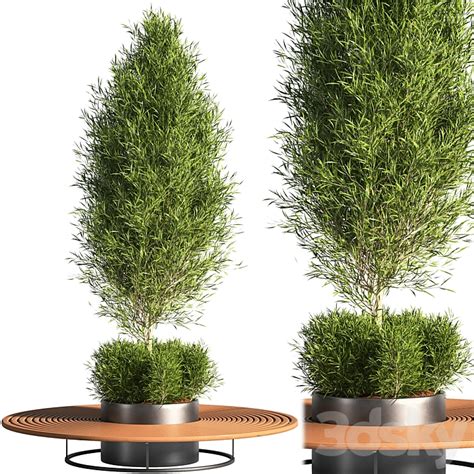 Park Bench Table With Tree Urban Environment 3d Model