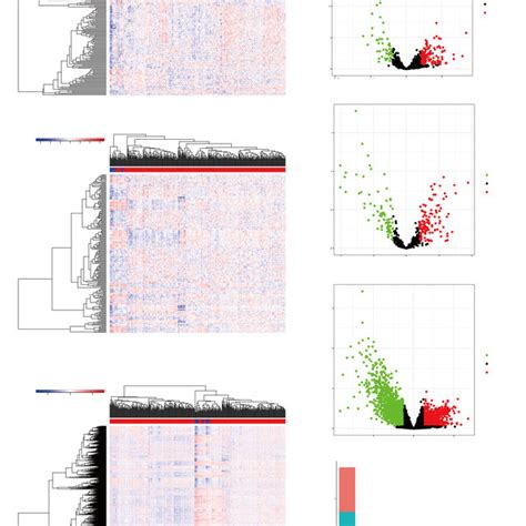 Analysis Of Differential Expression Of Long Non Coding Rnas Lncrnas