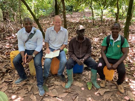 cracking the cocoa code more revenues cost savings higher income