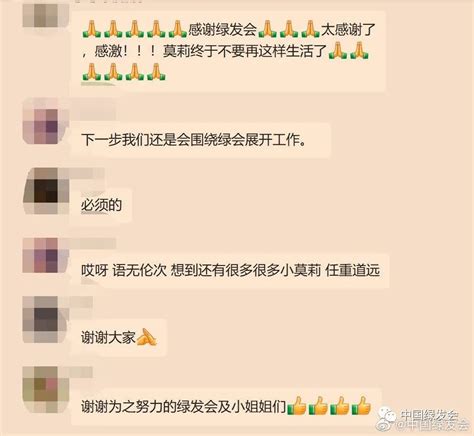周晋峰：我们要亚洲象莫莉一家回野外澎湃号·政务澎湃新闻 The Paper