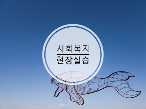 사회복지 현장실습 실습생 프로파일 네이버 블로그