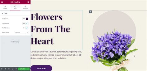 How To Use Custom Font Size Color And Style In Elementor Essential