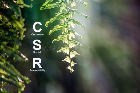 Corporate Social Responsibility Csr With Green Csr Icon On Wooden Block Stock Illustration