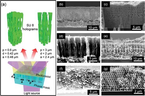 A Schematic Of The Pnp Process Prepared Using The Fdtd Models Where Download Scientific