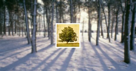 Obituary Thomas J Luchsinger Sr Of Boonville New York Mills Funeral Home