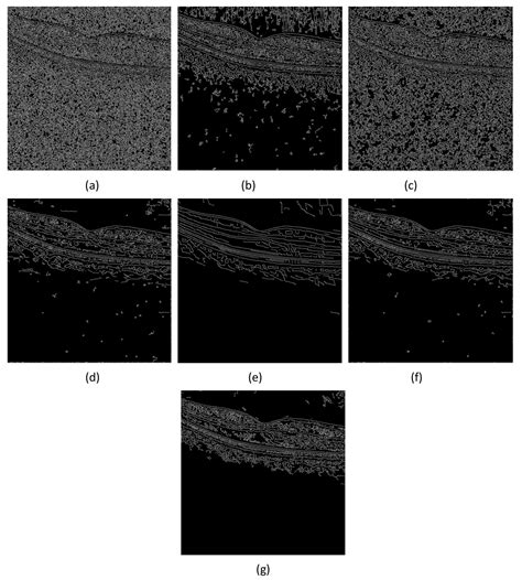 Micromachines Free Full Text Non Local Mean Denoising Algorithm