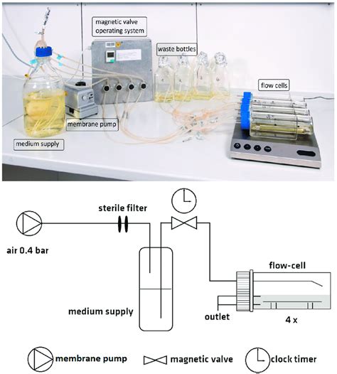 Experimental Setup Of The Flow Chamber System A Membrane Pump