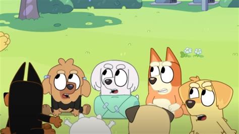 Bluey Season 2 Episode On Pass The Parcel Sparks Debate The Courier Mail