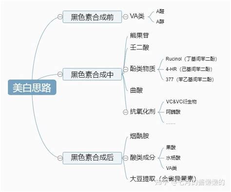 美白全攻略 美白剂 知乎