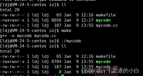 【linux Io】文件描述符、重定向、缓冲区dup Fcntl输入输出重定向的题 Csdn博客