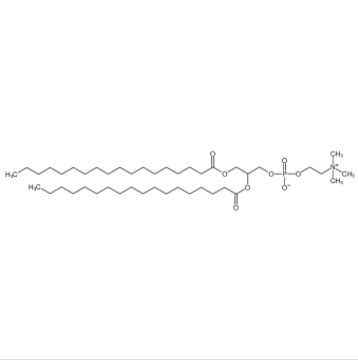 氢化磷脂酰胆碱 CAS 97281 48 6 广东翁江化学试剂有限公司