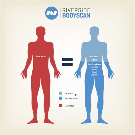 Why We Are Dumping On Bmi Body Mass Index From A Great Height Riverside Body Scan