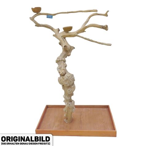 Java Tree From Coffee Wood Medium Bm53186