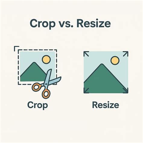 Crop Vs Resize The Ultimate Guide To Perfecting Your Image Crop Vs Resize The Ultimate Guide To Perfecting Your Image