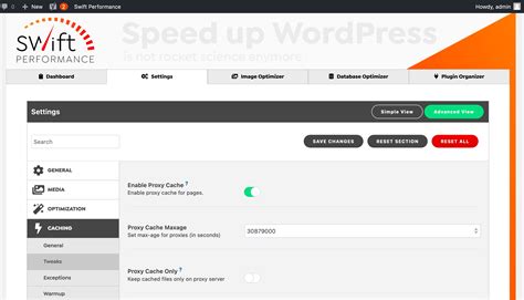 Proxy Caching Swift Performance