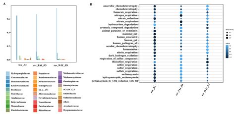 Research On The Functional Microbe Activation System In A Post Polymer