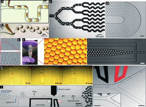 Additional Microfluidic Modules A And B Mixing In Droplets Mixing Of Download Scientific