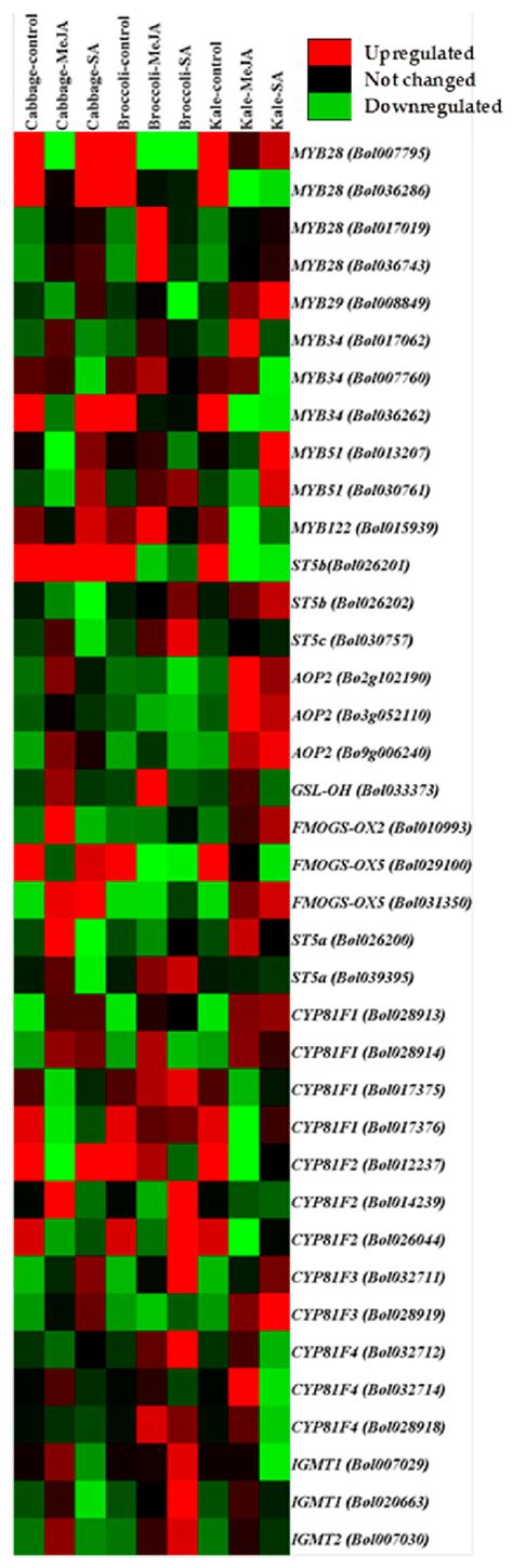 Figure S1 Heat Map Representation Of Expression Pattern Of