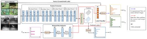 Djan Deep Joint Adaptation Network For Wildlife Image Recognition