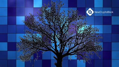 Sparse Merkle Tree Introduction Introduction By Dejan Jovanovic Newcryptoblock Medium