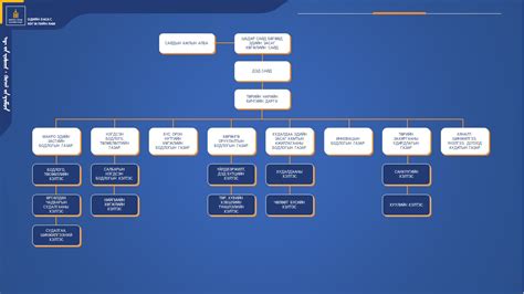 Бүтэц зохион байгуулалт чиг үүрэг