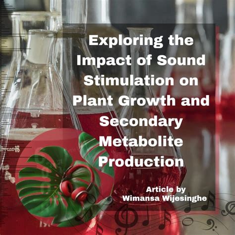 Exploring The Impact Of Sound Stimulation On Plant Growth And Secondary Metabolite Production