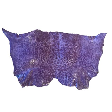 Cane Toad Skin Simon Martin Whips And Leathercraft