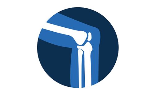 Knee Joint Orthopedic Icon Stock Illustration Download Image Now