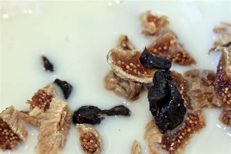 5 April 2020 Fig Pudding Day The Everyday Lore Project