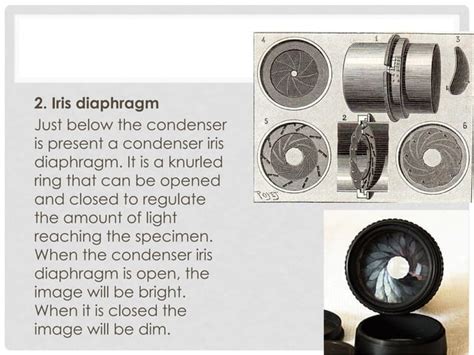 Types Of Microscopy Light Microscope Simple Microscope Compound
