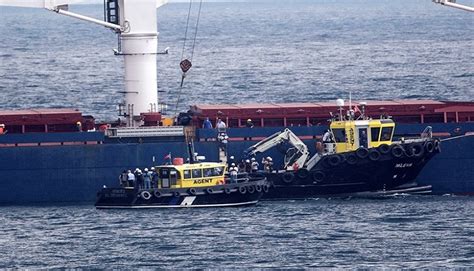 Испорака на 58 000 тони пчека за Турција Британија и Ирска Ohridsky